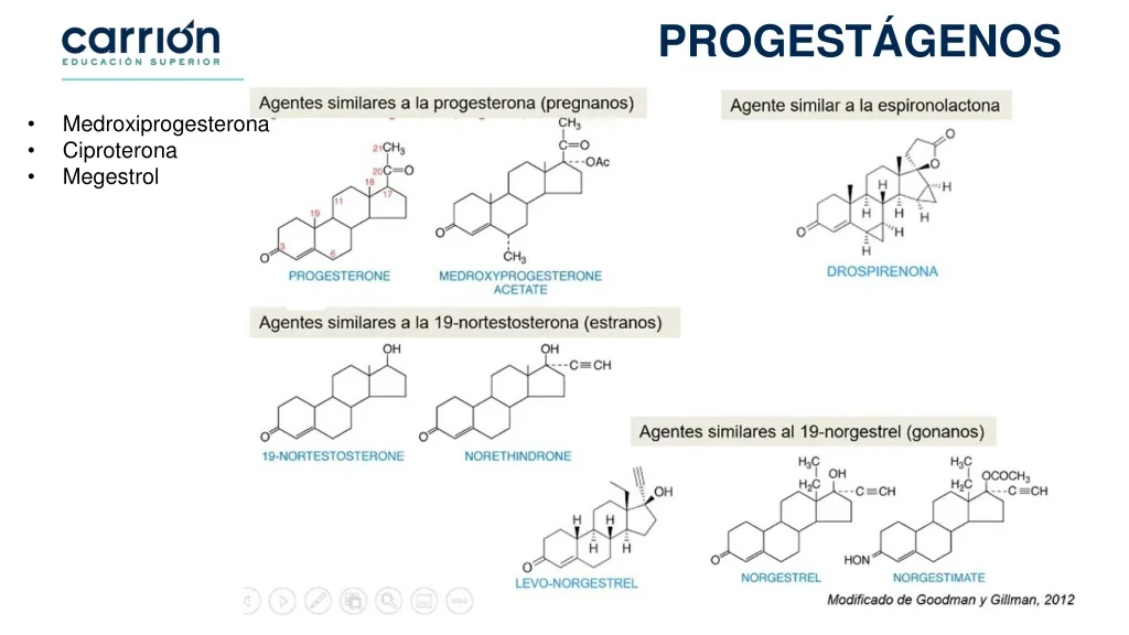 PPT - FARMACOLOGIA_DEL_SISTEMA_ENDOCRINO-_ESTROGENOS_Y_PROGESTAGENOS (1 ...
