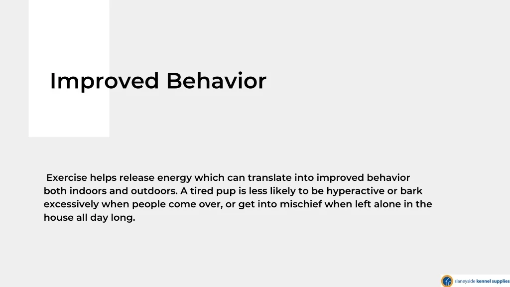 PPT - The Benefits of Exercise for Your Dog - Slaneyside Kennels ...