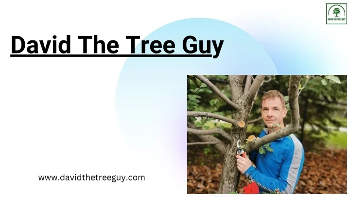 PPT - Tree Cutting and Trimming Services Edmonton - David The Tree Guy ...