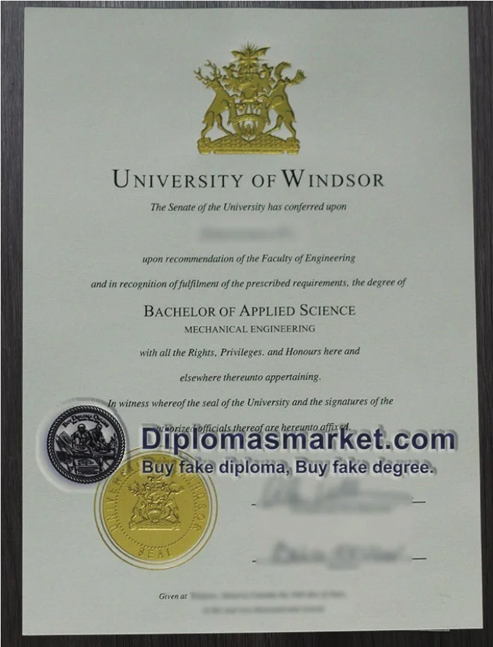 PPT - University of Windsor diploma PowerPoint Presentation, free ...
