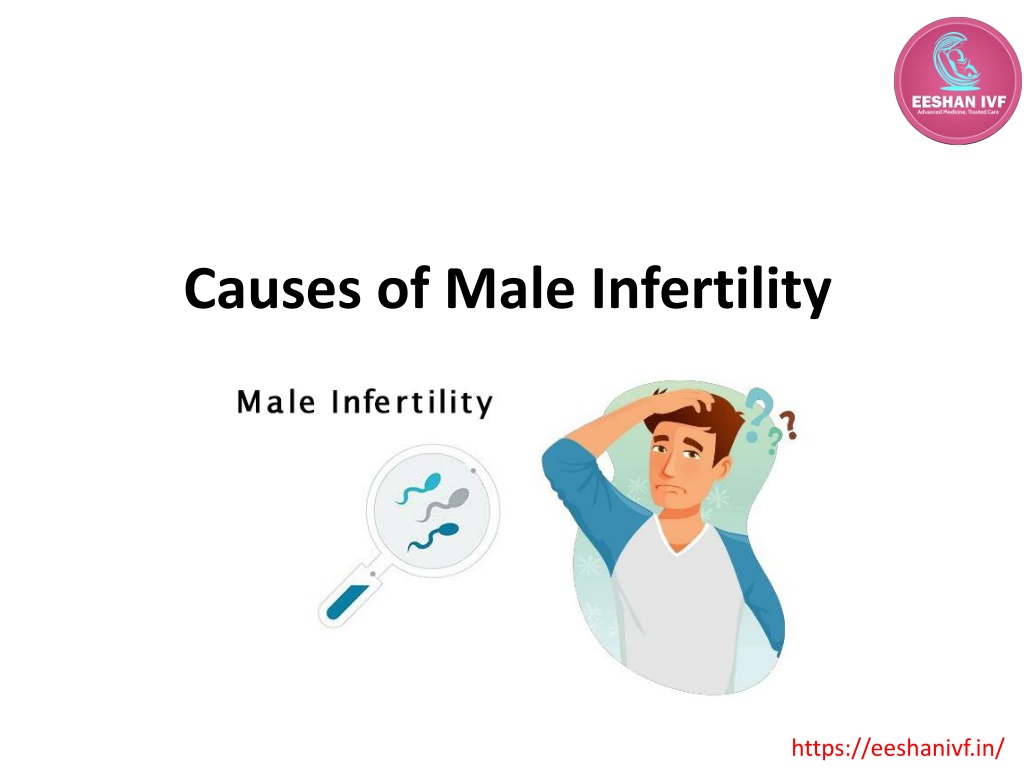 Ppt Causes Of Male Infertility Powerpoint Presentation Free Download