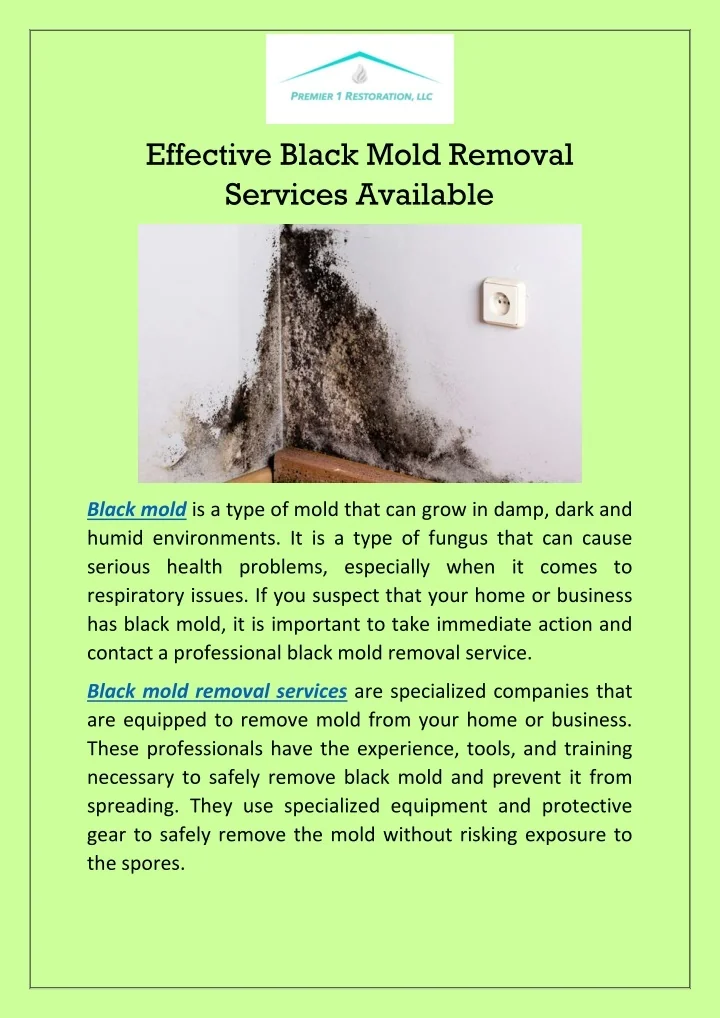 PPT - Effective Black Mold Removal Services Available PowerPoint ...