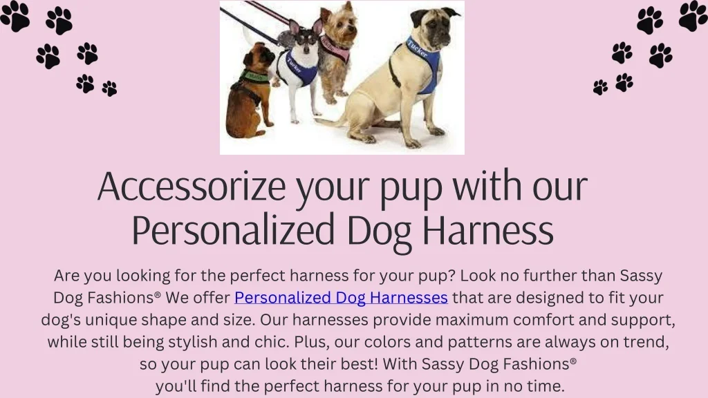PPT - Elevate your pup's style with Sassy Dog Fashions®, Personalized ...