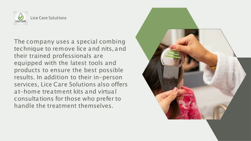 PPT - Best Lice Treatment PowerPoint Presentation, free download - ID ...