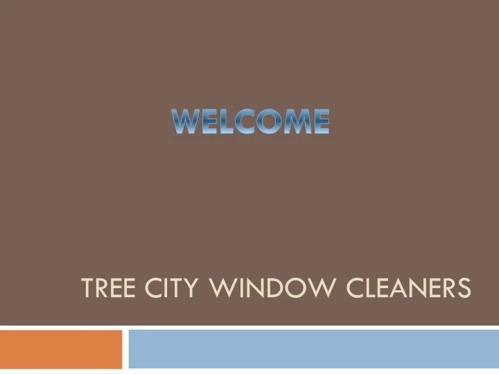 PPT - Best Gutter Cleaning Services in West Boise PowerPoint ...