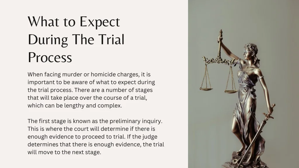 PPT - Murder Lawyer Toronto PowerPoint Presentation, free download - ID ...