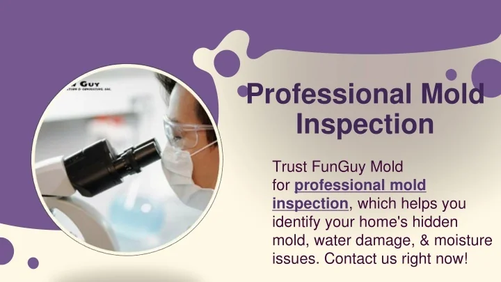 PPT - professional mold inspection PowerPoint Presentation, free ...
