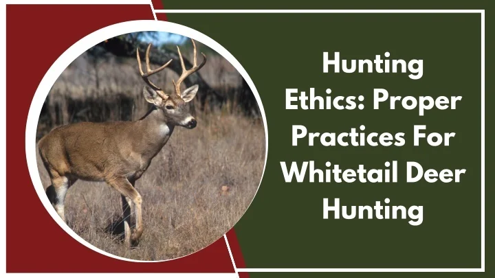 PPT - Chase Whitetail Elk in the Wilderness PowerPoint Presentation ...