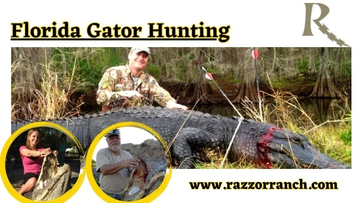 PPT - Florida gator hunting: Conquering the Wild Adventures PowerPoint ...