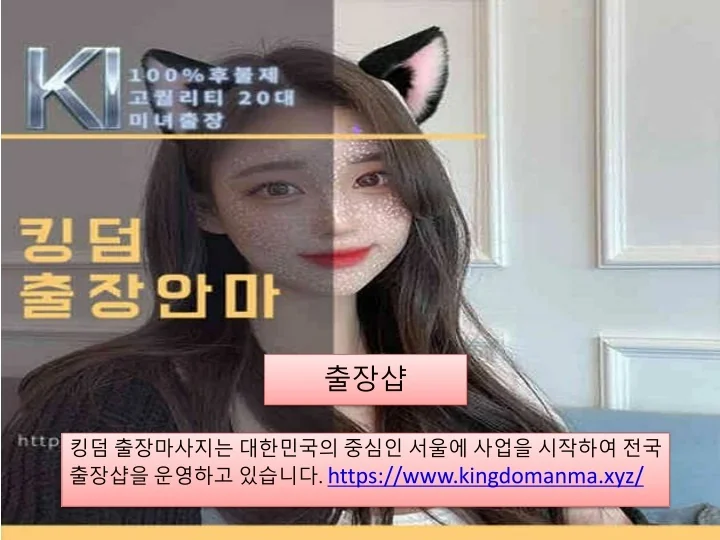 PPT - 출장샵 PowerPoint Presentation, free download - ID:12219095