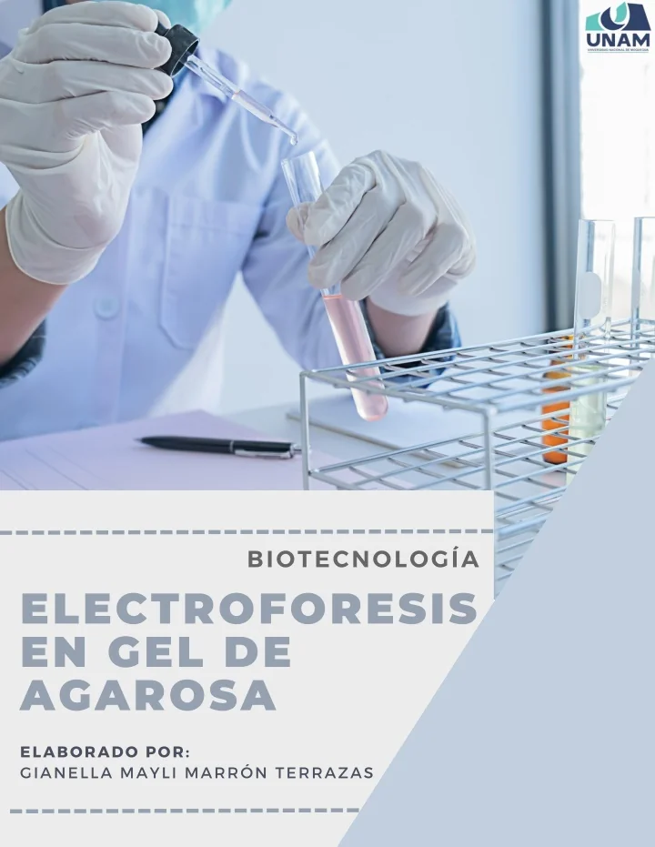PPT - “SIMULACIÓN DE ELECTROFORESIS EN GEL DE AGAROSA CON EL SOFTWARE ...