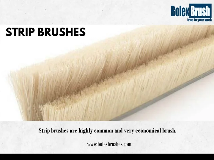PPT - Strip Brushes PowerPoint Presentation, free download - ID:12227685