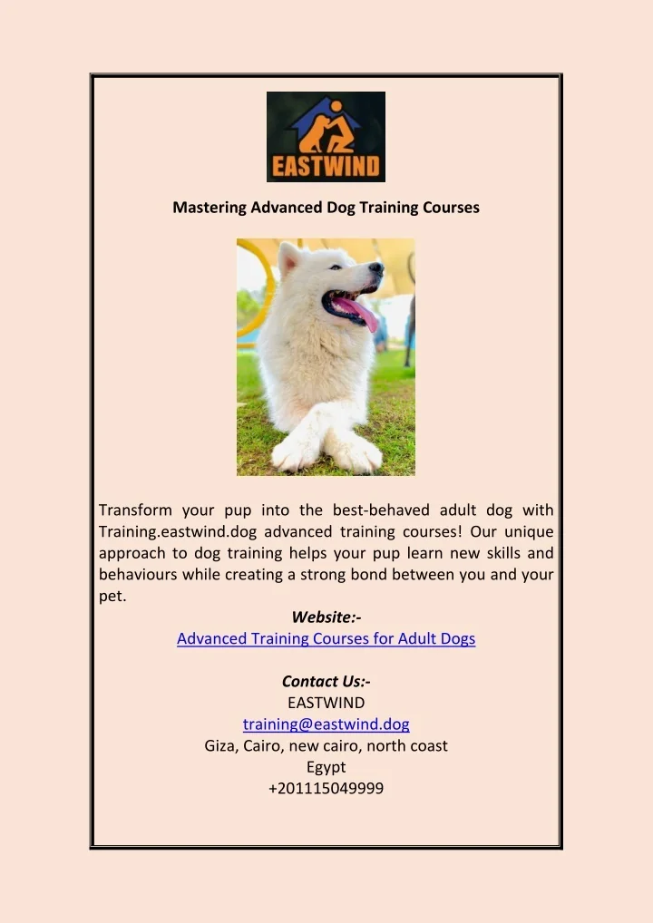 PPT - Mastering Advanced Dog Training Courses PowerPoint Presentation ...