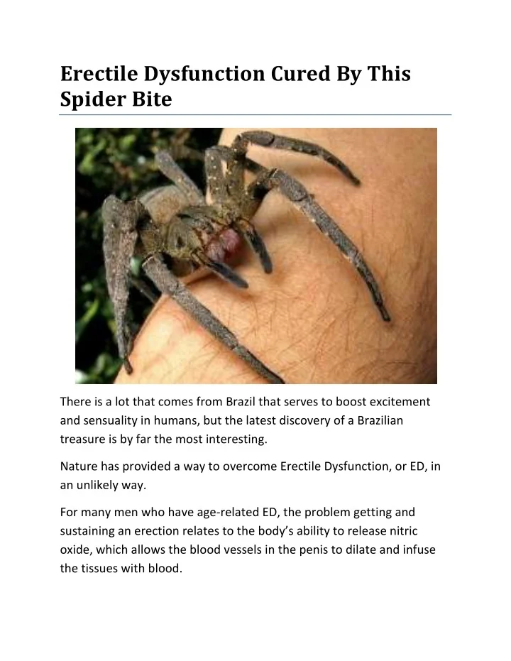 PPT - Erectile Dysfunction Cured By This Spider Bite PowerPoint Presentation - ID:12246967