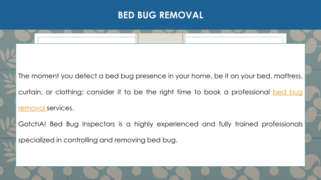 PPT - Reasons to Book Bed Bug Removal Services PowerPoint Presentation ... PPT - Reasons to Book Bed Bug Removal Services PowerPoint Presentation ...