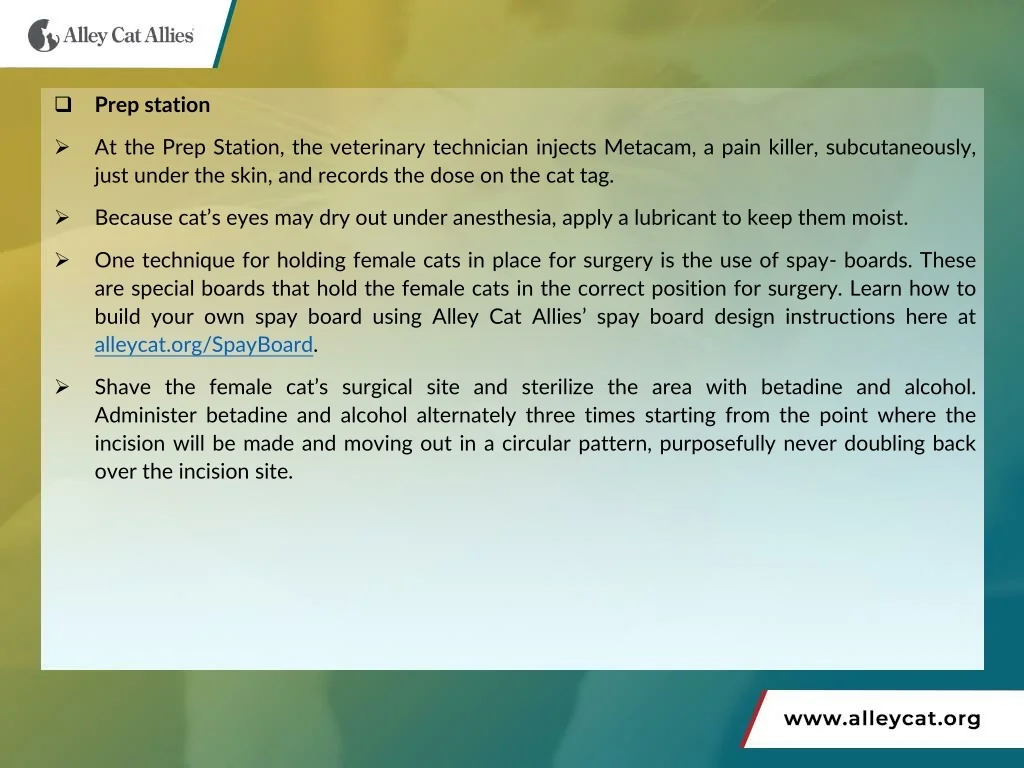 PPT - High-quality, high-volume spay and neuter clinic guide PowerPoint ...