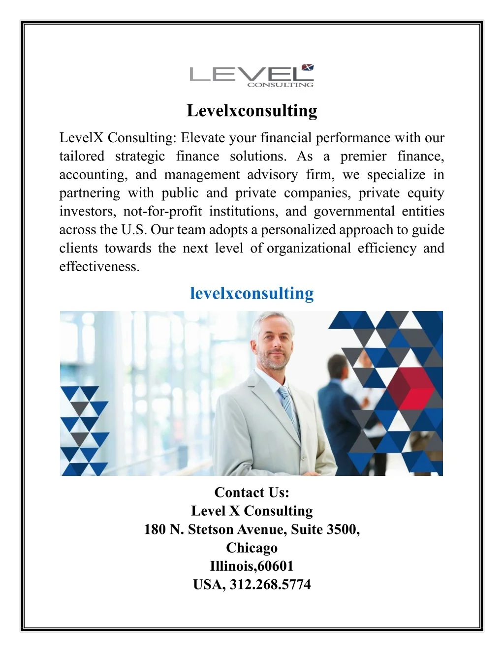PPT - Levelxconsulting PowerPoint Presentation, free download - ID:12813801