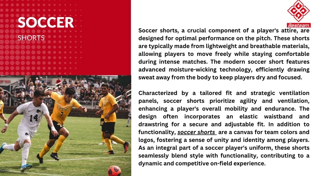 PPT - BESTEAM SPORT PowerPoint Presentation, free download - ID:12878870