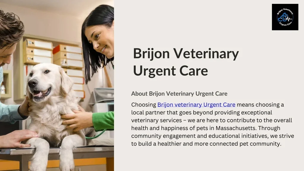 PPT - Brijon-Veterinary-Urgent-Care.pptx PowerPoint Presentation, free ...