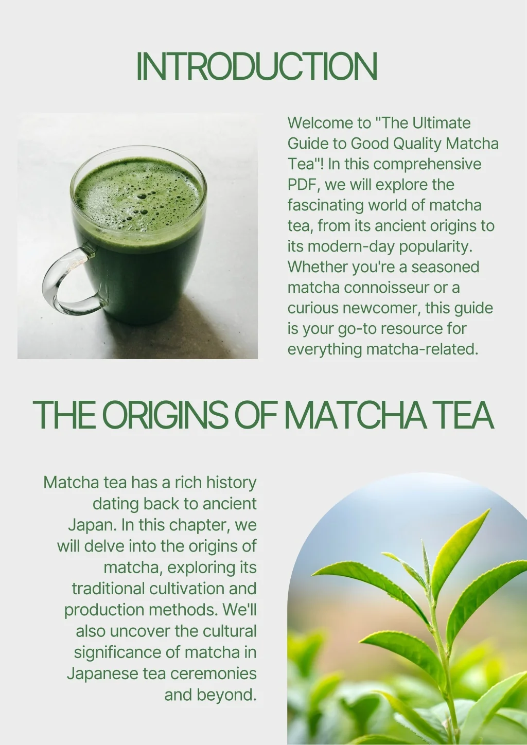 PPT - The Ultimate Guide to Good Quality Matcha Tea PowerPoint ...