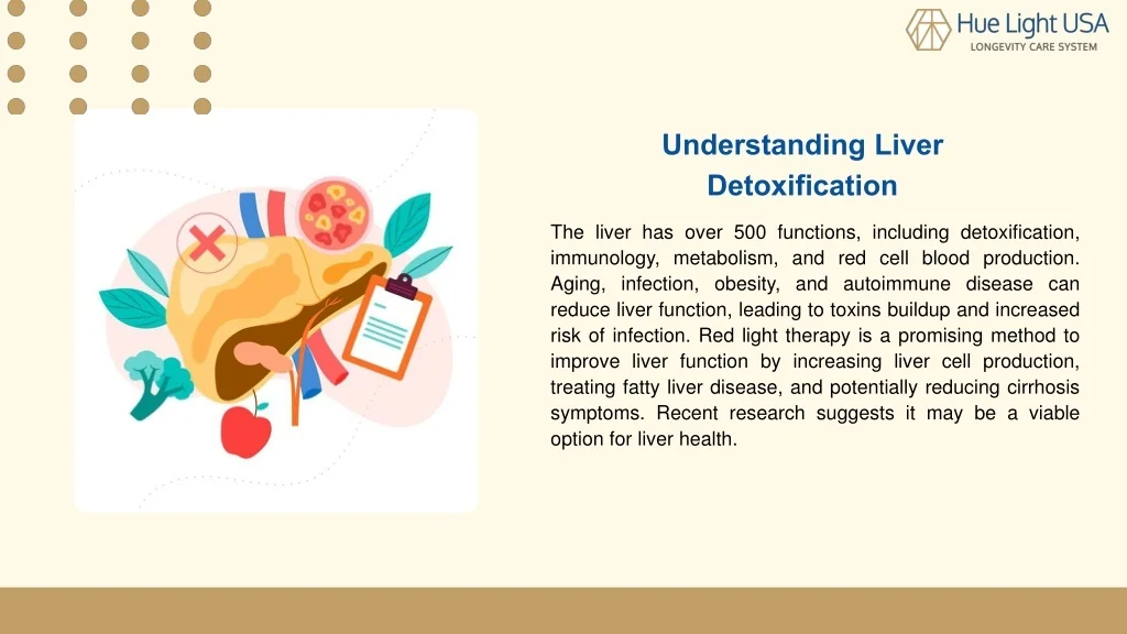 PPT - Red Light Therapy for Liver Detox Exploring the Mechanisms ...