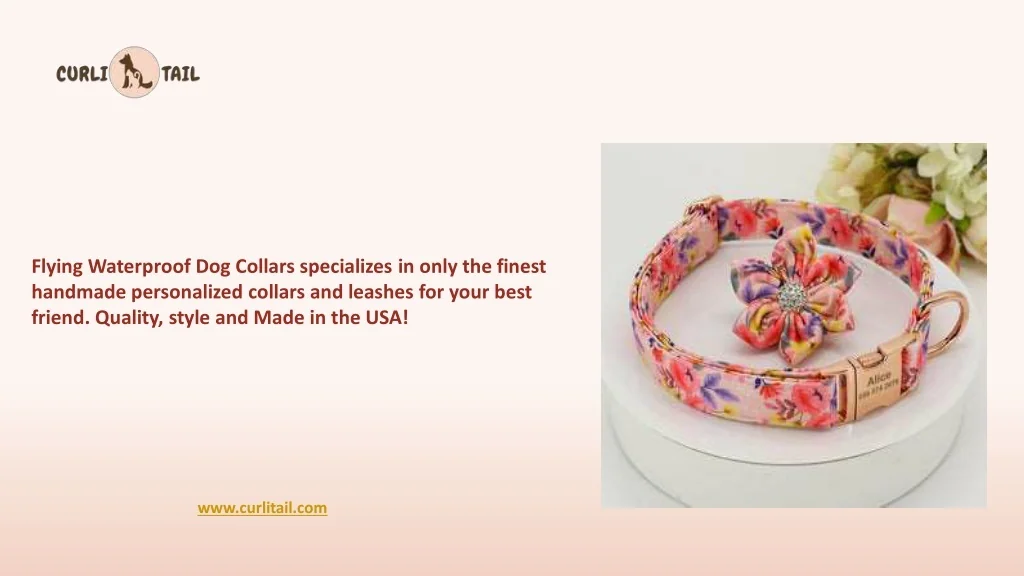 PPT - Waterproof Collars USA PowerPoint Presentation, free download ...