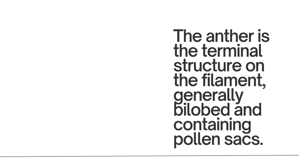 PPT - sexual reproduction in floweing plants - Presentation PowerPoint ...