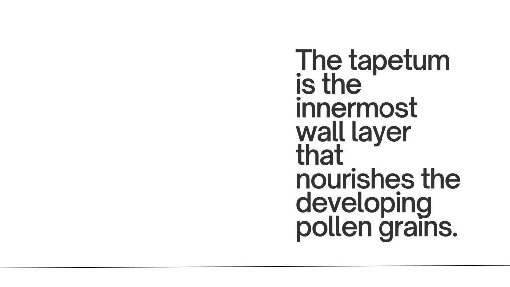 PPT - sexual reproduction in floweing plants - Presentation PowerPoint ...