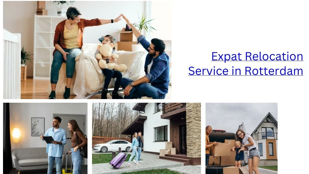 PPT - Rotterdam Housing Agency PowerPoint Presentation, free download ...