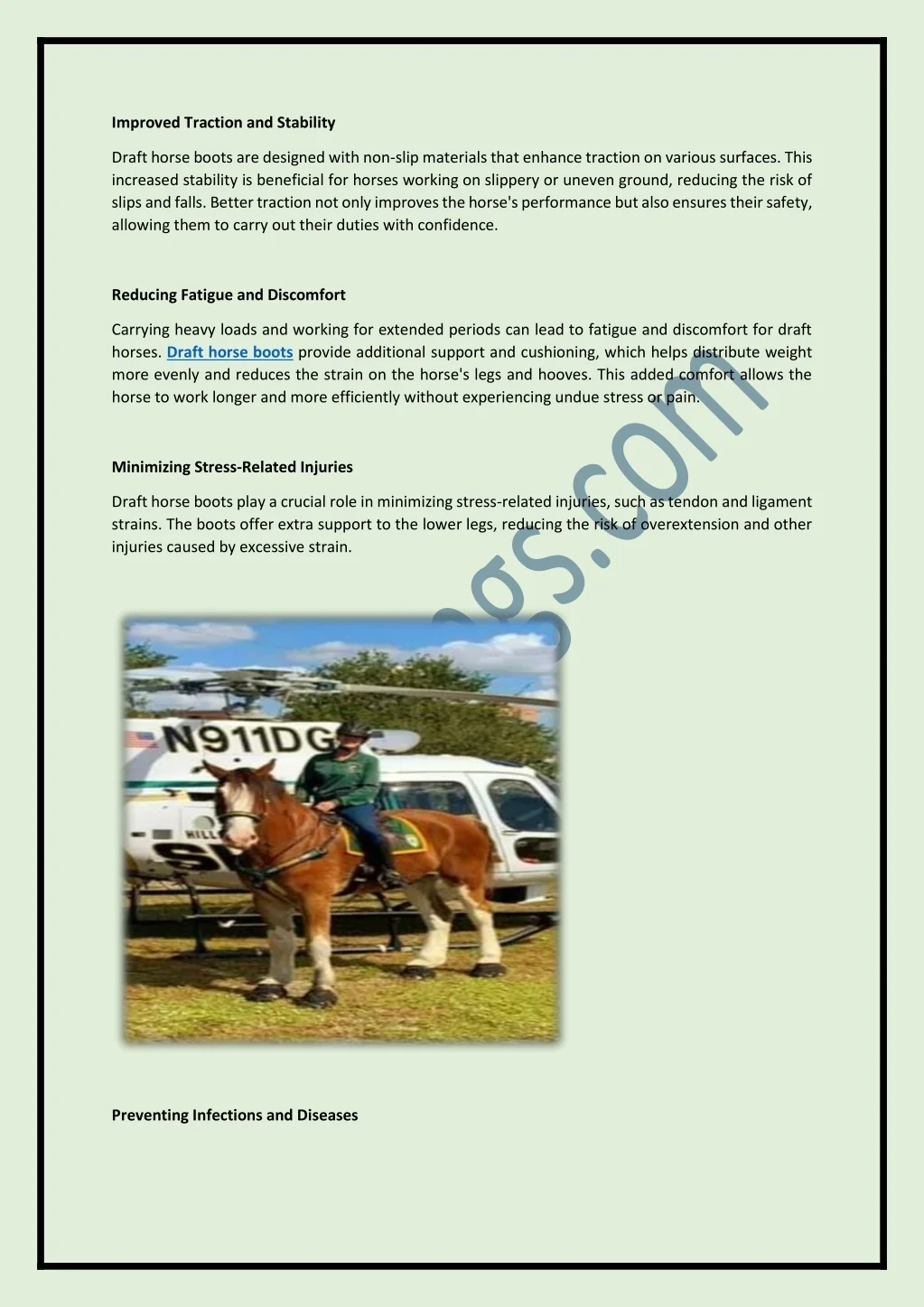 PPT - The Benefits of Draft Horse Boots PowerPoint Presentation, free ...