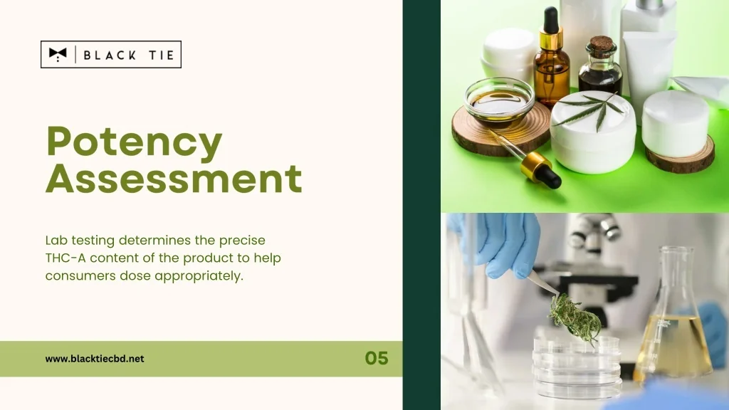 PPT - The Importance of Lab Testing THC-A Products PowerPoint ...