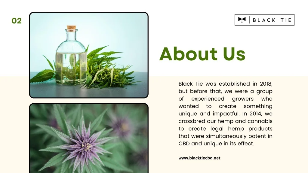 PPT - The Importance of Lab Testing THC-A Products PowerPoint ...