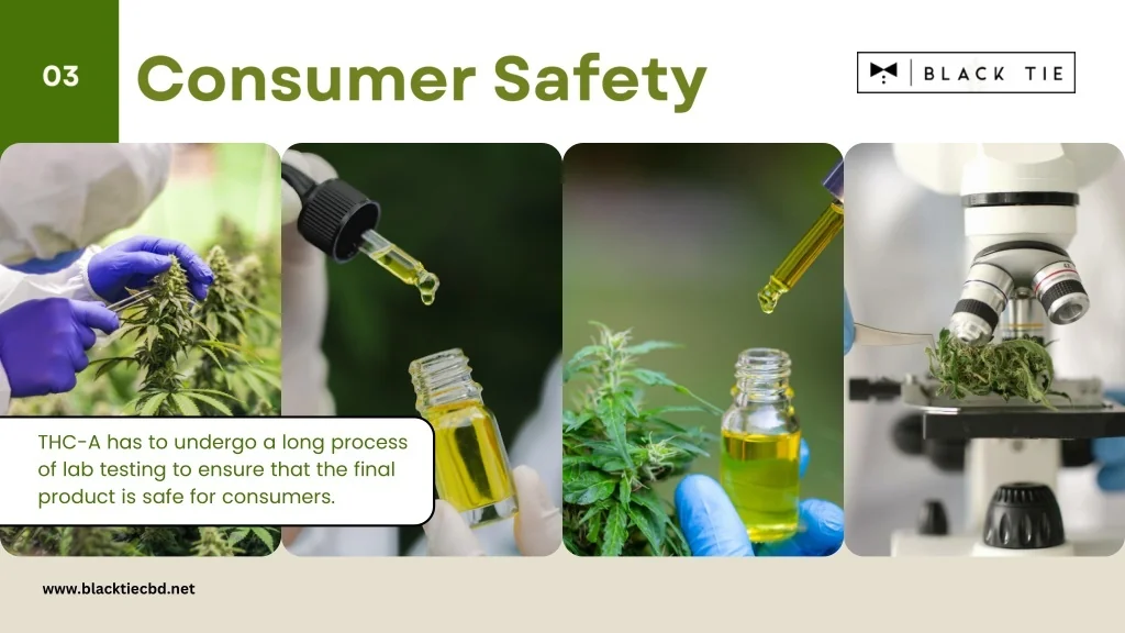 PPT - The Importance of Lab Testing THC-A Products PowerPoint ...