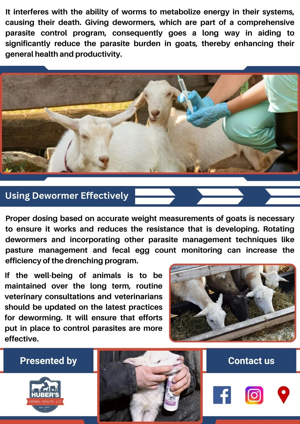 PPT - Control Internal Parasites In Animals PowerPoint Presentation ...