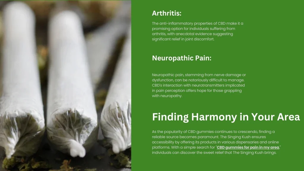 PPT - Exploring the Soothing Symphony of CBD Gummies for Pain Relief ...