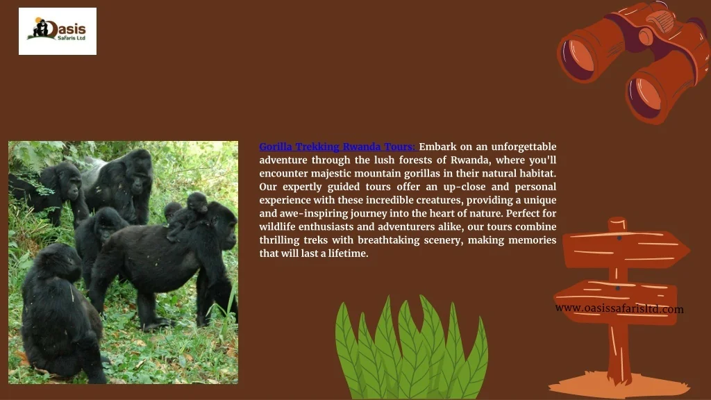 PPT - Gorilla Trekking Rwanda Tours PowerPoint Presentation, free download - ID:13315815