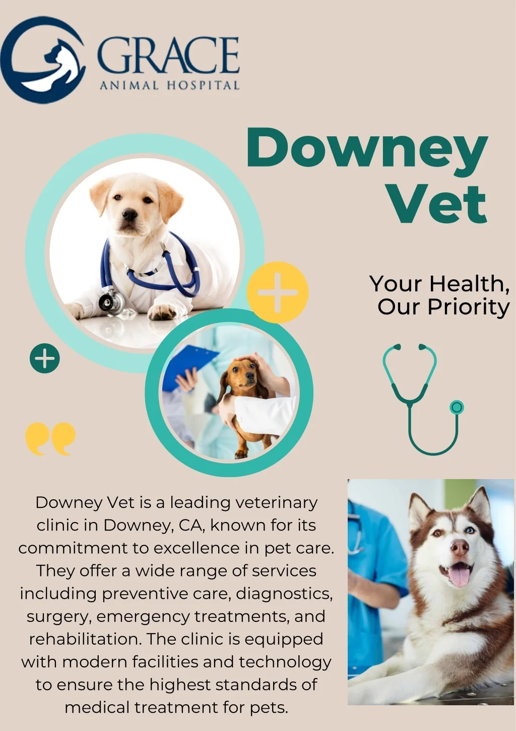 PPT - Downey Vet: Your Go-To for Happy, Healthy Pets PowerPoint ...