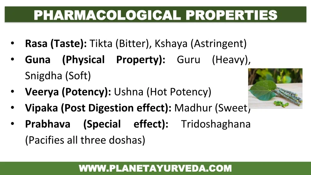 PPT - Exploring Giloy Classical Synonyms, Ayurvedic Benefits, and ...