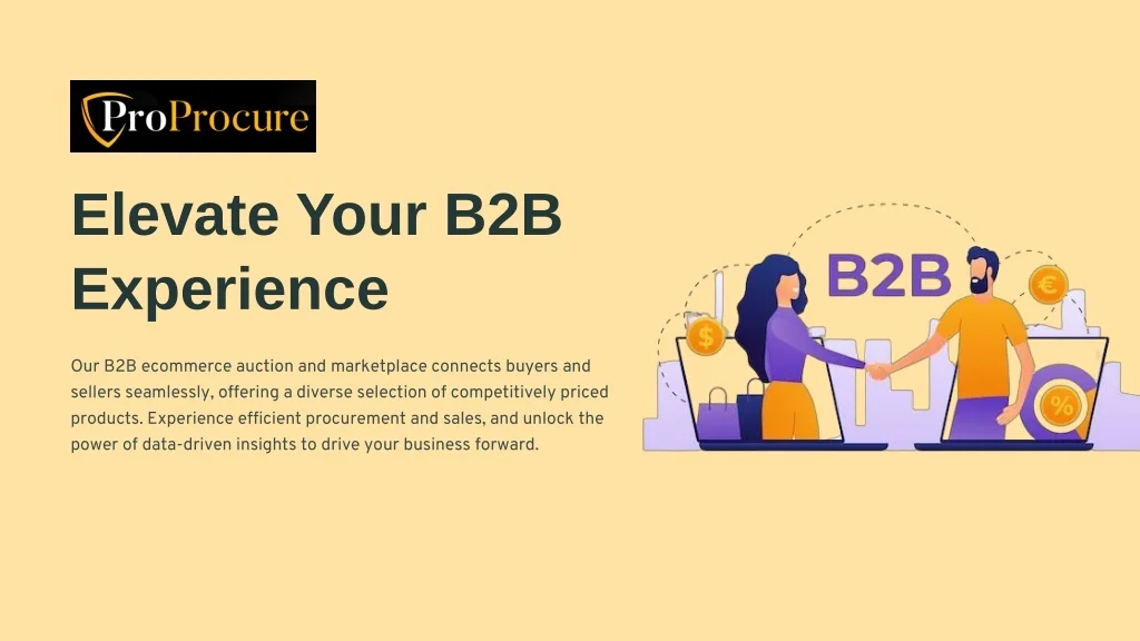 PPT - Elevate-Your-B2B-Experience.pptx PowerPoint Presentation, free download - ID:13322379