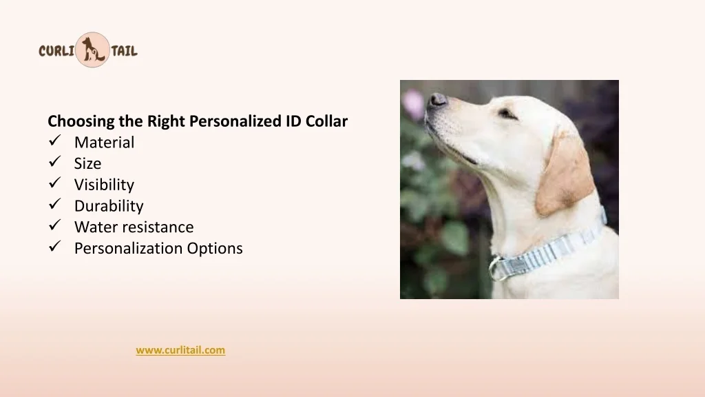 PPT - Importance Of Personalized ID Collars For Your Four-Legged ...