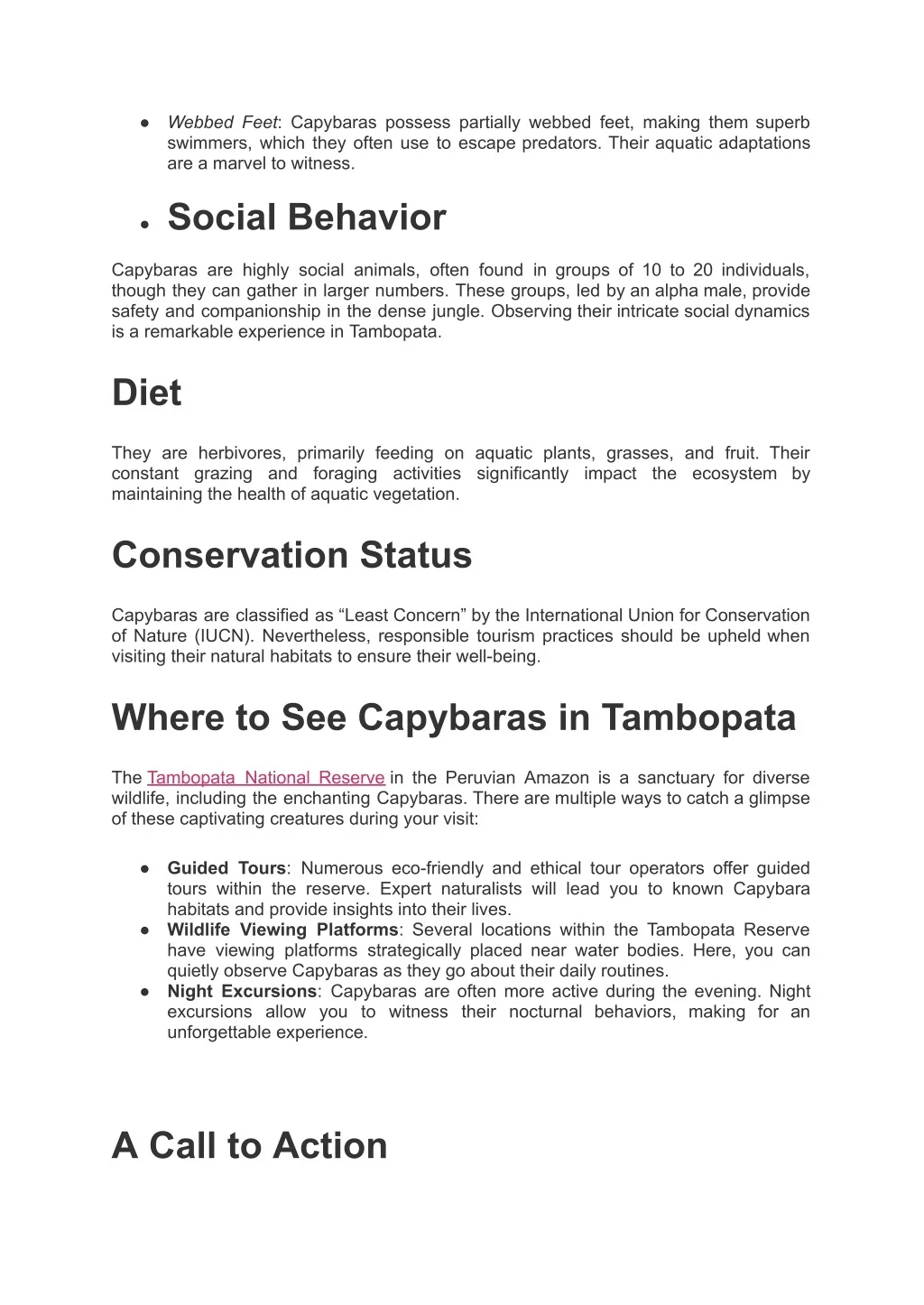 PPT - The Capybara: Nature’s Giant Rodent in Tambopata National Reserve ...