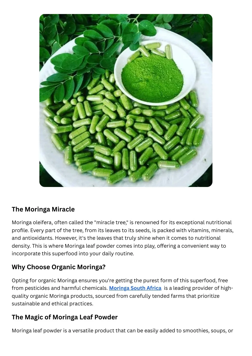 PPT - Organic Moringa Powder PowerPoint Presentation, free download - ID:13356402