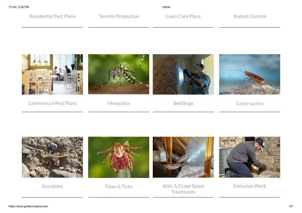 PPT - Golden Rule Pest, Termite, & Weed - Pest Control Solutions ...