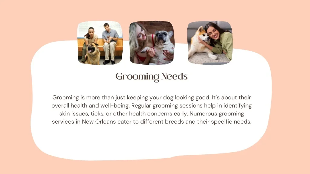 PPT - Dog Care in New Orleans: Trusted Services by K9 Second Line ...