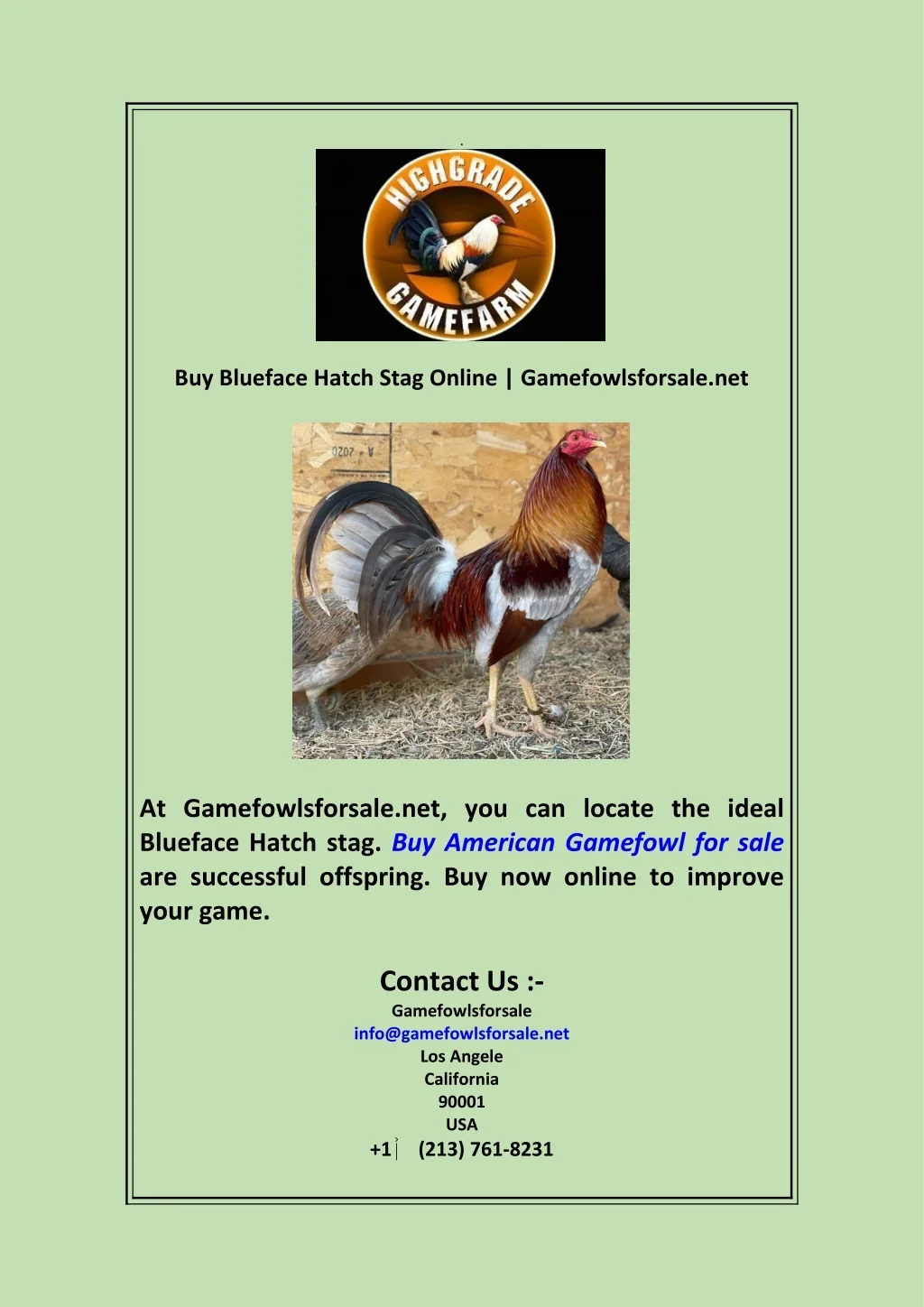 PPT - Buy Blueface Hatch Stag Online Gamefowlsforsale net PowerPoint ...