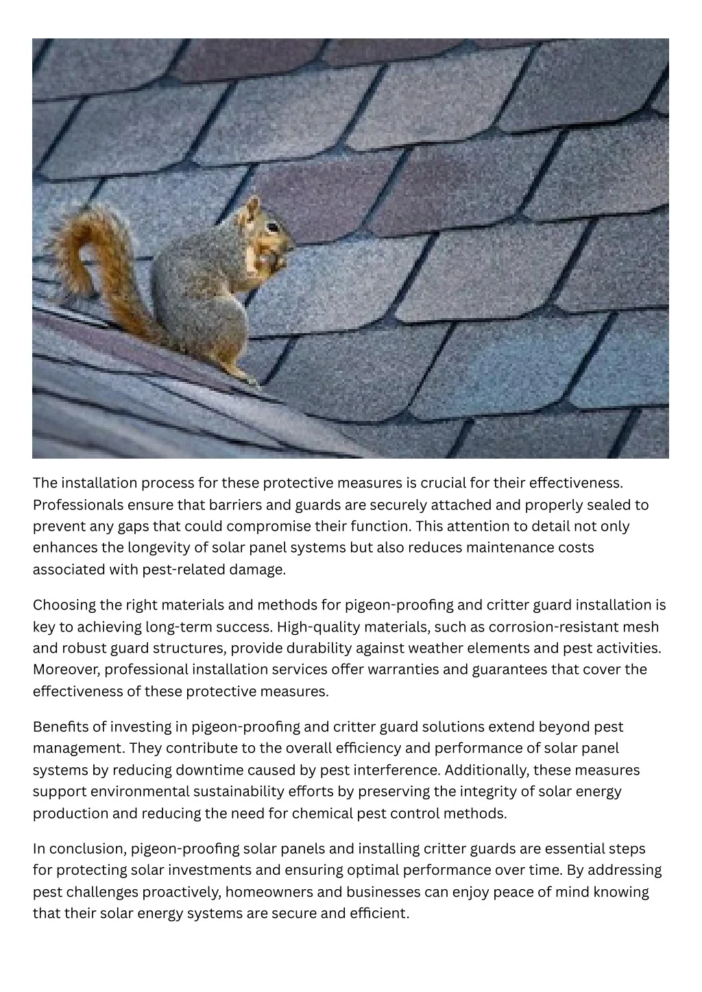 PPT - Effective Solutions for Pigeon-Proof Solar Panels and Solar ...