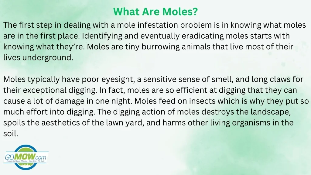 PPT - What are the signs of mole damage to your lawn in Irving, Texas ...