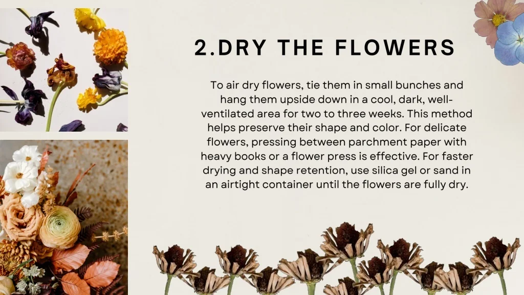 PPT - Step-by-Step Guide How to Craft a Beautiful Dried Flower Bouquet ...