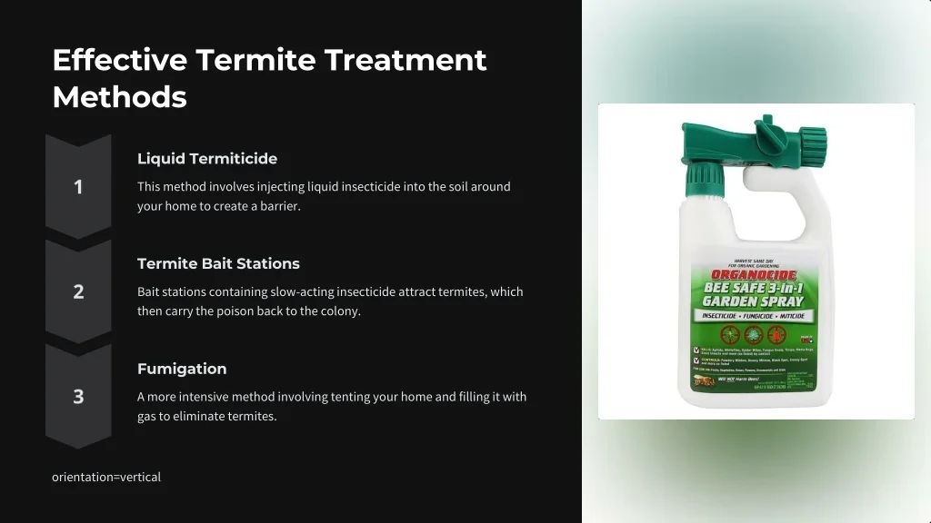 PPT - Safeguard Your Miami Home from Termites with V Pest Control ...