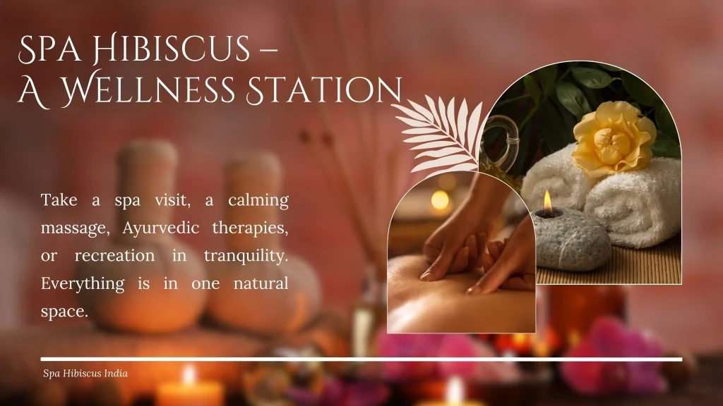 PPT - Best Wellness Spa Service Company In India PowerPoint ...
